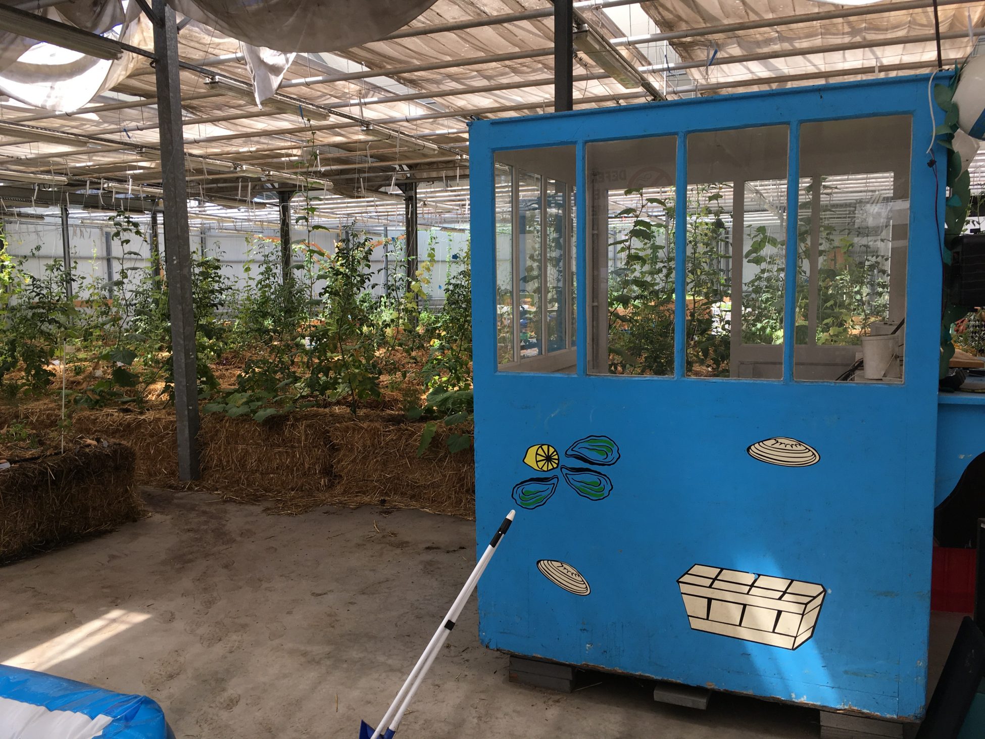 L'Agronaute : l'urbanisme transitoire au service de l'agriculture urbaine