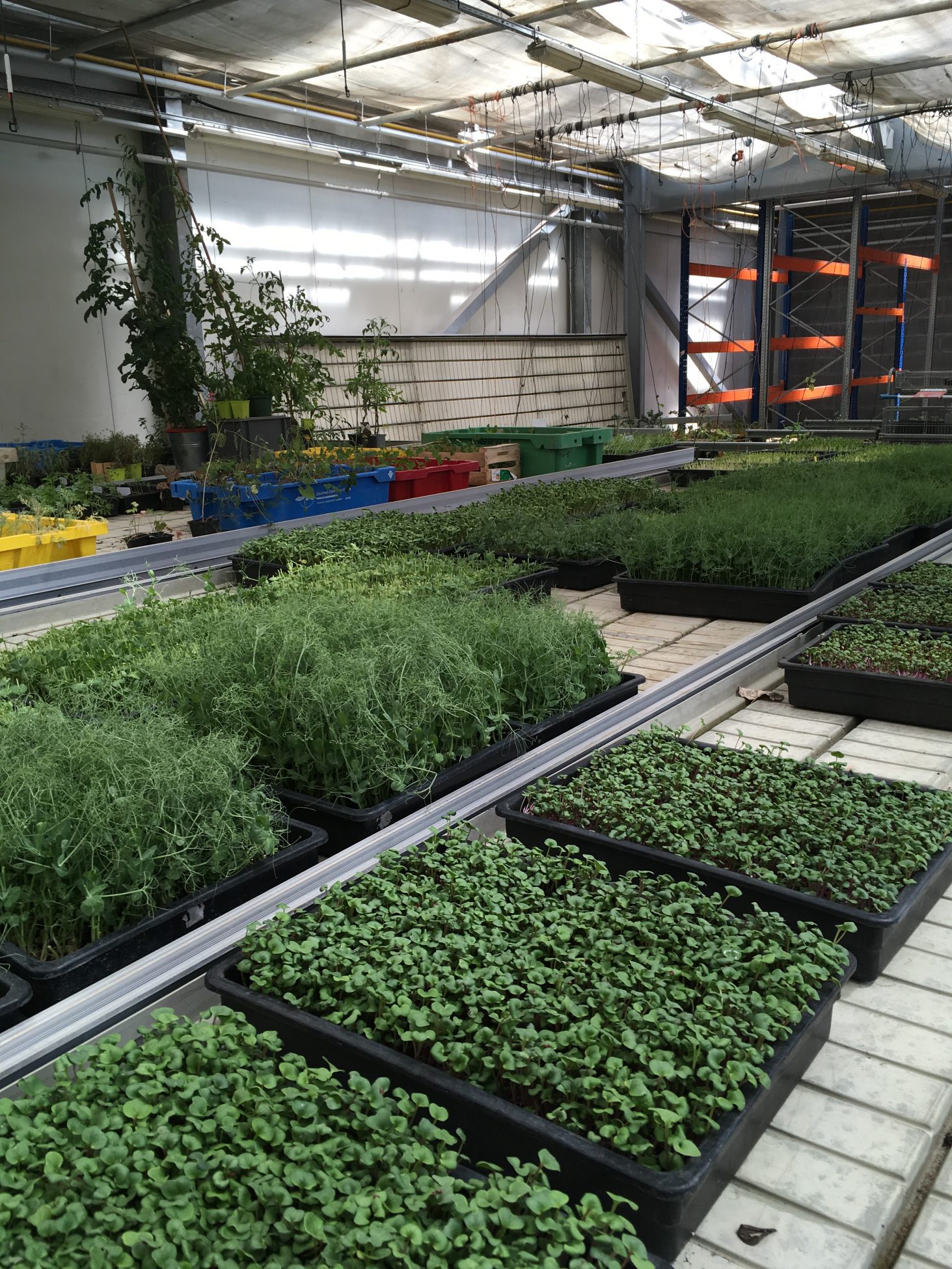 L'Agronaute : l'urbanisme transitoire au service de l'agriculture urbaine