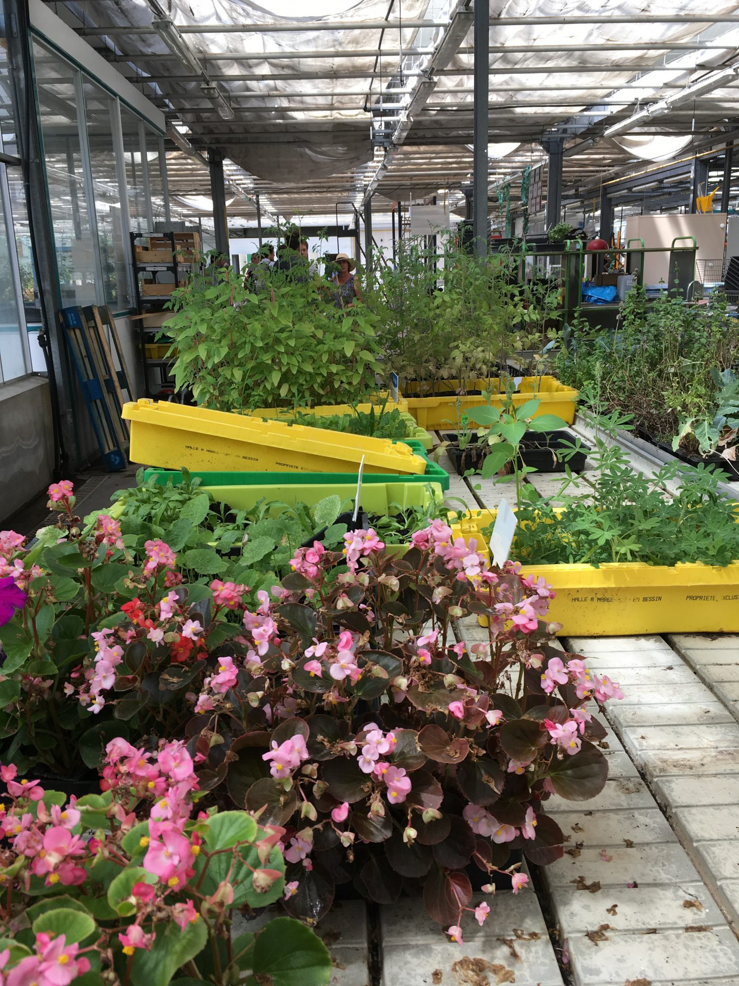 L'Agronaute : l'urbanisme transitoire au service de l'agriculture urbaine