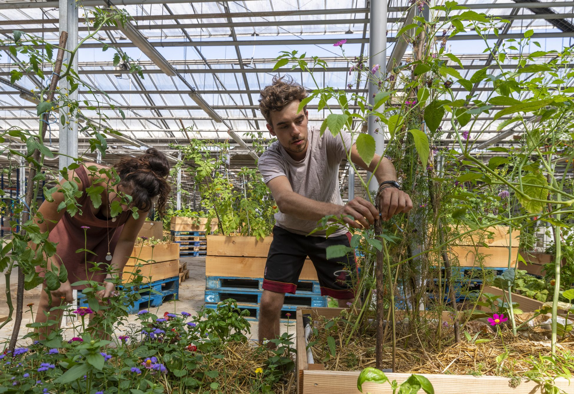 L'Agronaute : l'urbanisme transitoire au service de l'agriculture urbaine